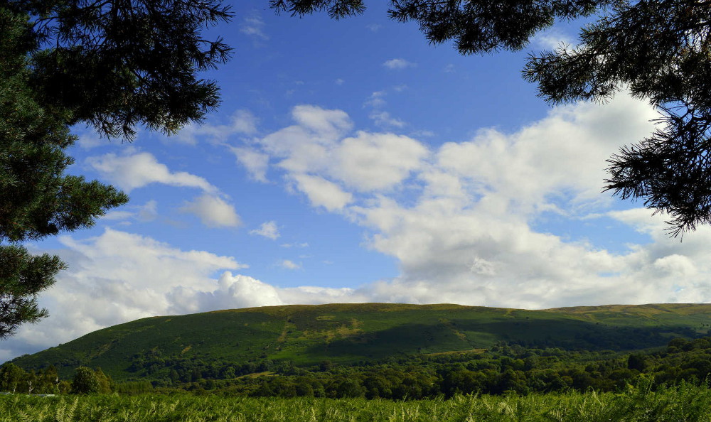 doldowlod-Cambrians - Railway Station Cottages