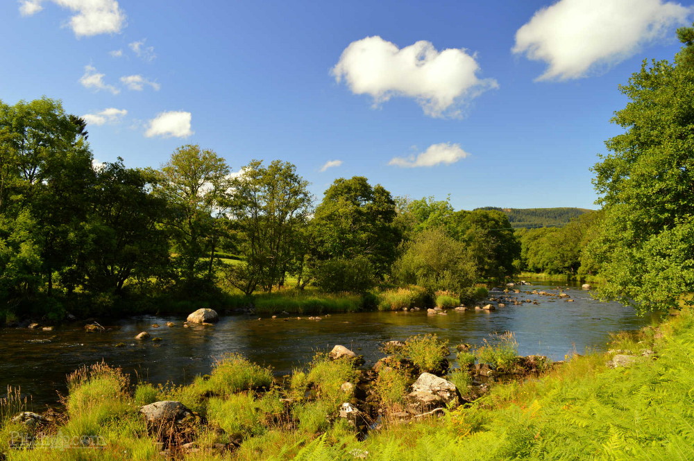 The Railway Guards Van - Doldowlod Old Station Caravan Park - Railway ...